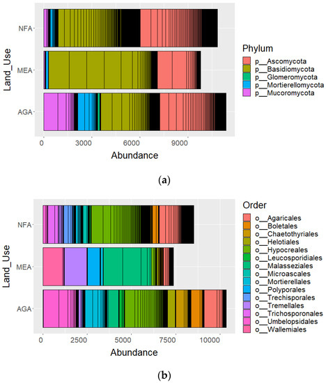 Metabarcoding Reveals Impact of Different Land Uses on Fungal Diversity ...