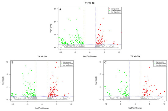 Transcriptome Profiling during Sequential Stages of Cryopreservation in ...