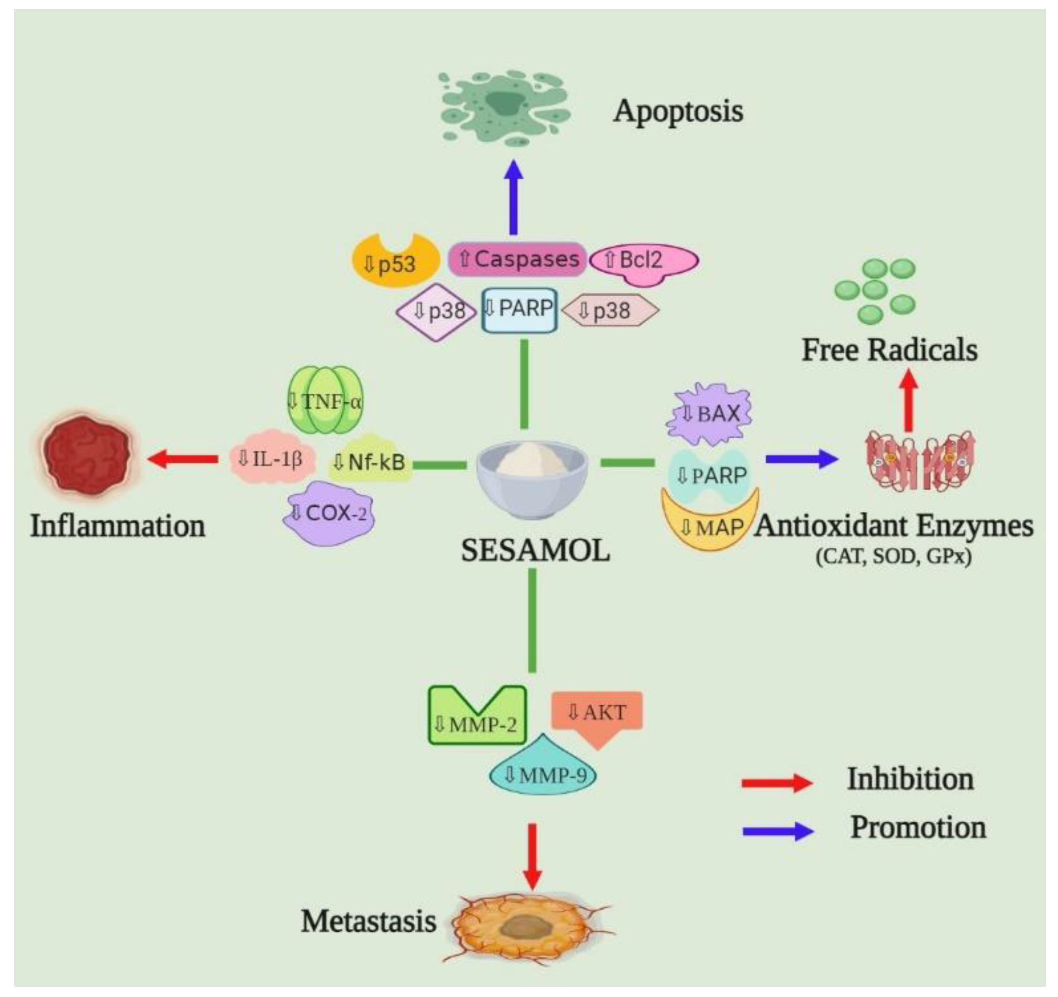 Formulation Strategies for Enhancing Pharmaceutical and Nutraceutical ...