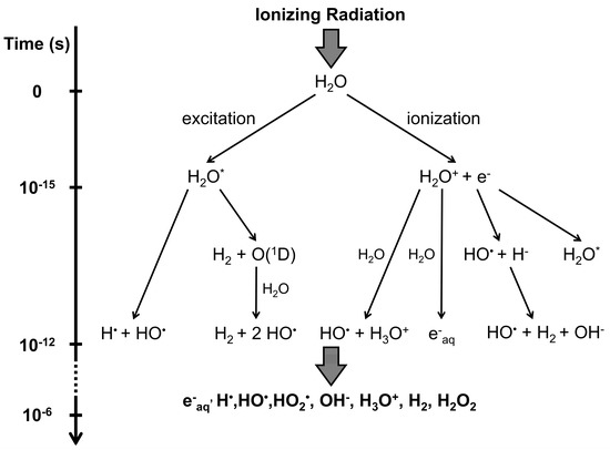 Chronic Ionizing Radiation of Plants: An Evolutionary Factor from ...