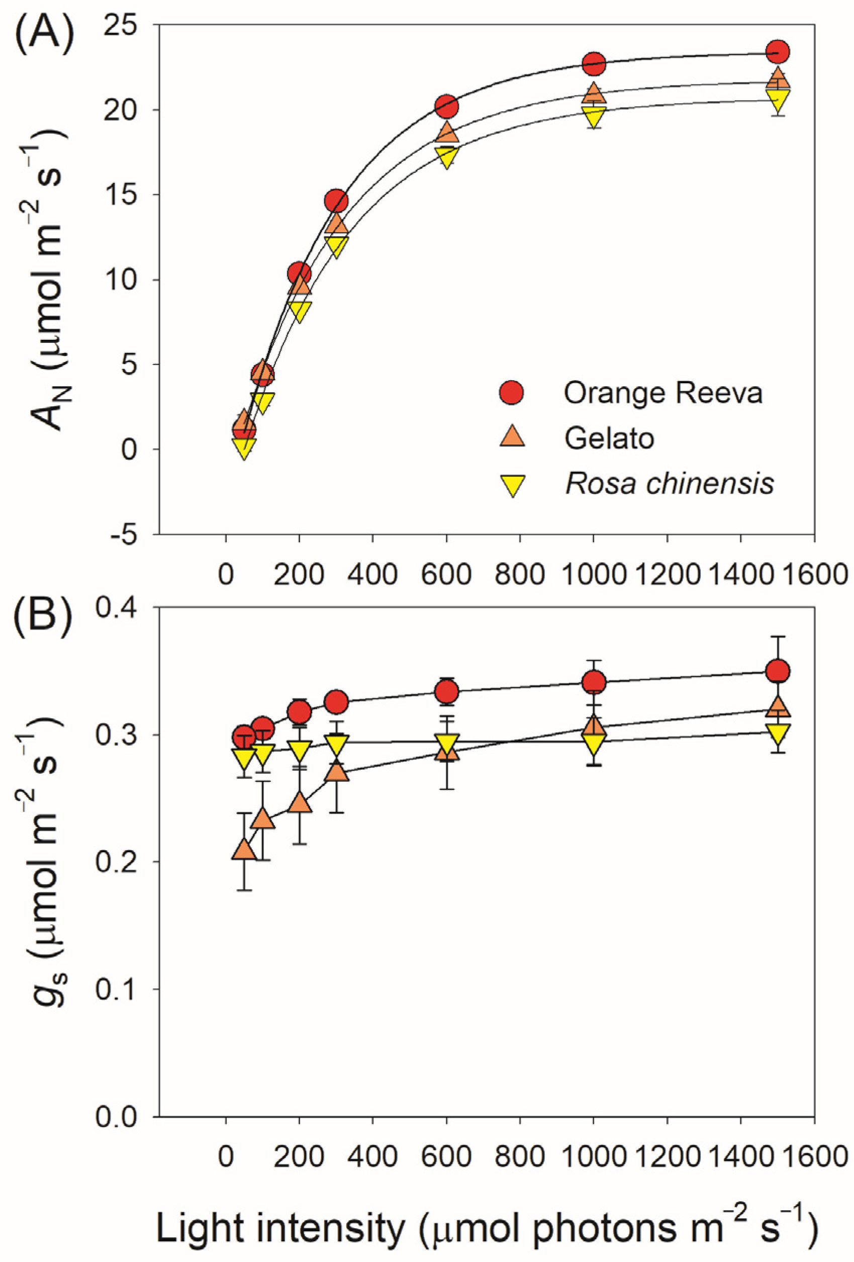 Variation in Photosynthetic Efficiency under Fluctuating Light between ...