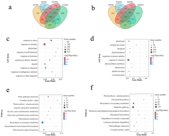 Transcriptome Analysis Reveals a Major Gene Expression Pattern and Important Metabolic Pathways ...