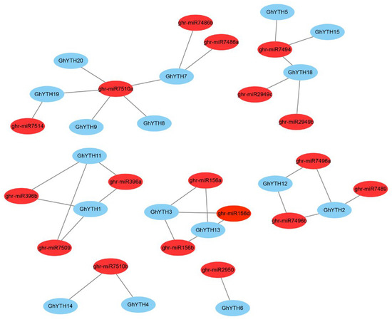 Genome-Wide Identification and Evolutionary Analysis of Gossypium YTH ...