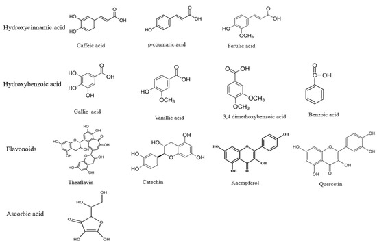 Plants Free Full Text Recent Developments In Polyphenol