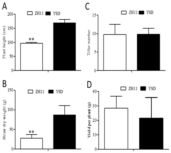 Genome and Transcriptome Identification of a Rice Germplasm with High ...