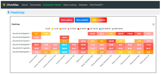 OliveAtlas: A Gene Expression Atlas Tool for Olea europaea