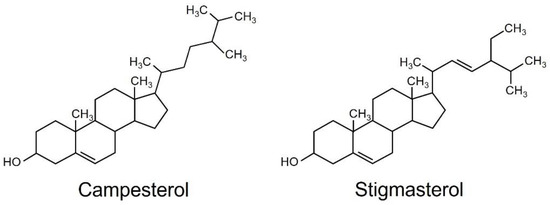 Phytosterols Are Involved in Sclareol-Induced Chlorophyll Reductions in ...