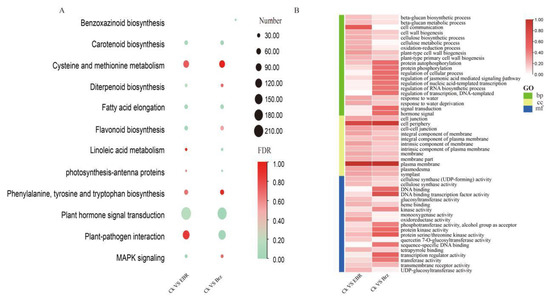 Integrative Analysis of Transcriptome, Proteome, and Phosphoproteome ...