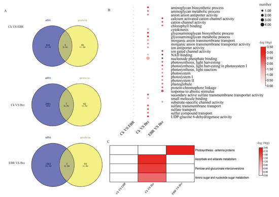 Integrative Analysis of Transcriptome, Proteome, and Phosphoproteome ...