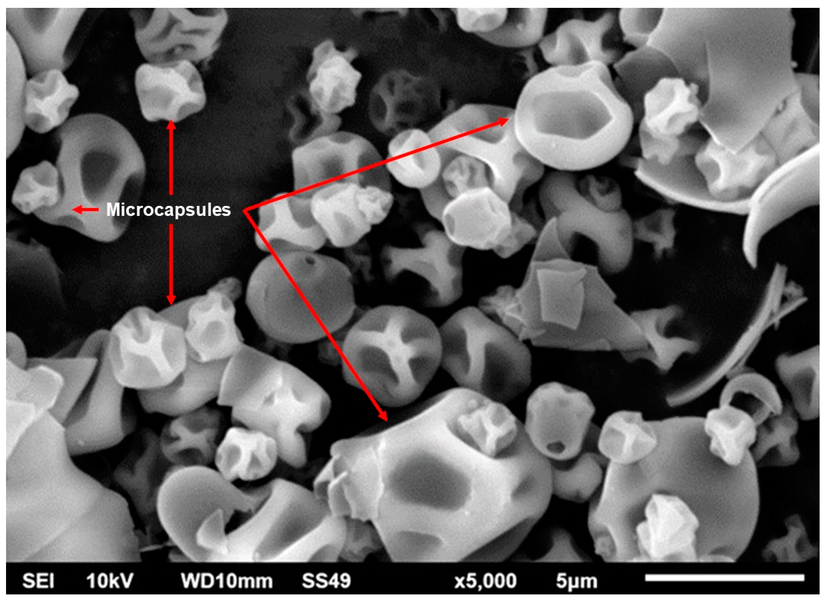 The Insecticidal Activity of Azadirachta indica Leaf Extract ...
