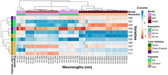 Enhancing Pigment Phenotyping and Classification in Lettuce through the Integration of ...