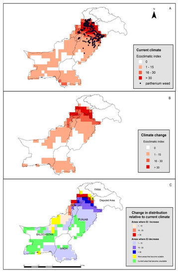 The Current and Potential Distribution of Parthenium Weed and Its ...