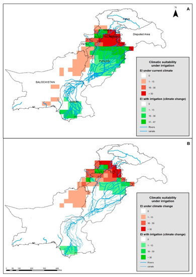 The Current and Potential Distribution of Parthenium Weed and Its ...