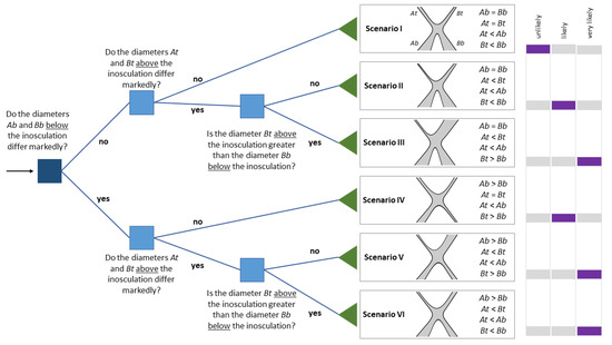 Plants | Free Full-Text | Conjoining Trees for the Provision of Living ...