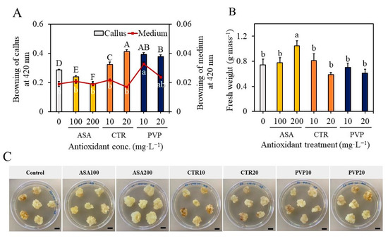 Production of Secondary Metabolites from Cell Cultures of Sageretia ...