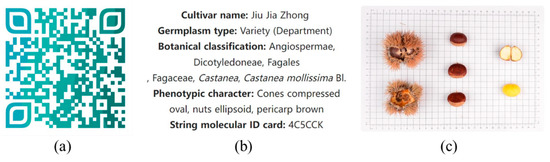 Genetic Relationships of 118 Castanea Specific Germplasms and ...