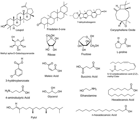 Biological Characterization of Polystichum lonchitis L. for ...