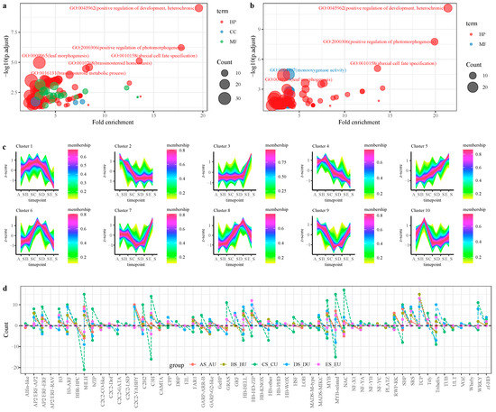 Comparative Transcriptome Analysis of Gleditsia sinensis Thorns at ...