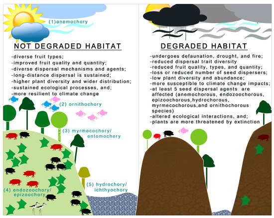 How Does Changing Environment Influence Plant Seed Movements as ...