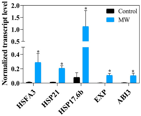 The Effect of Magneto-Priming on the Physiological Quality of Soybean Seeds