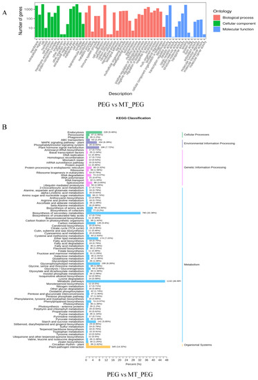 Transcriptomic and Physiological Analyses Reveal the Molecular Mechanism through Which Exogenous ...