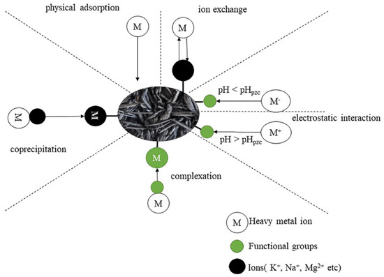 Review on Rice Husk Biochar as an Adsorbent for Soil and Water Remediation