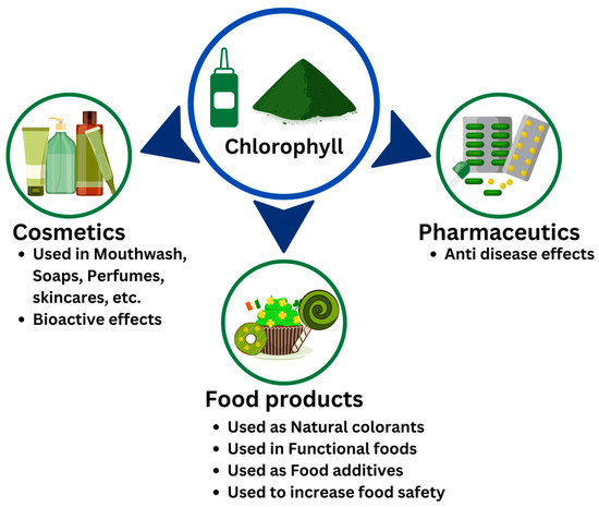 Chlorophylls as Natural Bioactive Compounds Existing in Food By ...