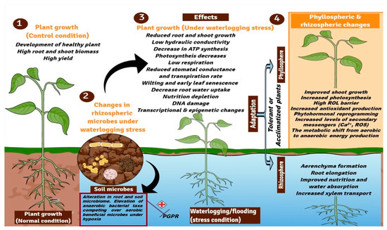 Exploring the Potential of Multiomics and Other Integrative Approaches ...