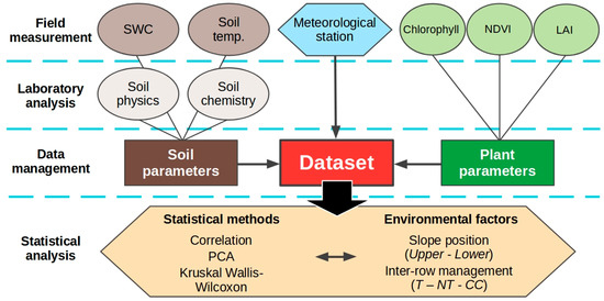 Plant Growth and Soil Water Content Changes under Different Inter-Row ...
