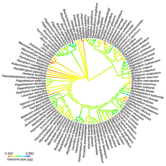 Nuclear DNA Amounts in Chinese Bryophytes Estimated by Flow Cytometry ...