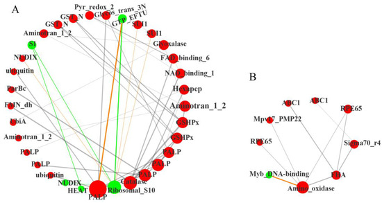 Transcriptomics and Metabolomics Analysis Provides Insight into Leaf ...