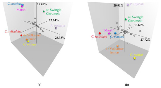 Meiotic Behaviors of Allotetraploid Citrus Drive the Interspecific ...