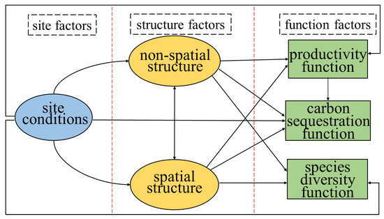Analysis of the Relative Importance of Stand Structure and Site ...
