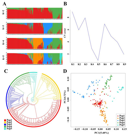 Preliminary Investigation of Essentially Derived Variety of Tea Tree ...