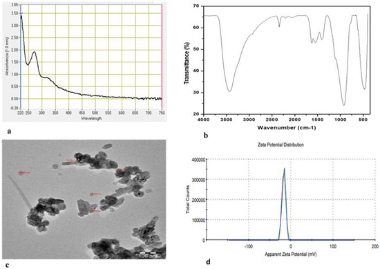 Effect of Green Synthesized ZnO-NPs on Growth, Antioxidant System ...