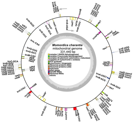 Analysis of the Complete Mitochondrial Genome of the Bitter Gourd ...