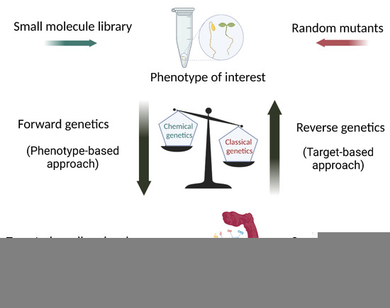 Plants and Small Molecules: An Up-and-Coming Synergy