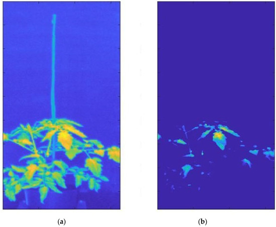 Low-Cost Hyperspectral Imaging to Detect Drought Stress in High ...