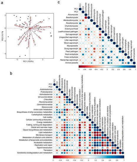 Linkages between Plant Community Composition and Soil Microbial Diversity in Masson Pine Forests