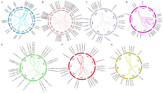 Comprehensive Genomic Analysis of SnRK in Rosaceae and Expression ...
