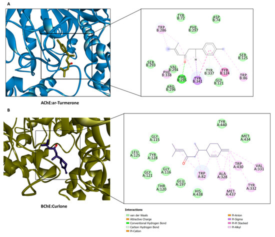 Comparative GC-MS Analysis of Fresh and Dried Curcuma Essential Oils ...