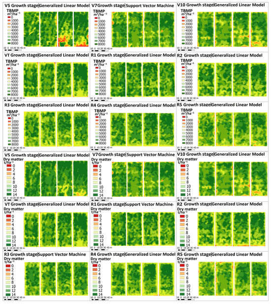 Plants | Free Full-Text | Predicting Maize Theoretical Methane Yield in Combination with Ground ...