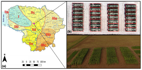 Predicting Maize Theoretical Methane Yield in Combination with Ground and UAV Remote Data Using ...