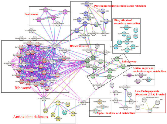 iTRAQ-Based Proteomic and Physiological Analyses Reveal the Mechanisms of Dehydration and ...
