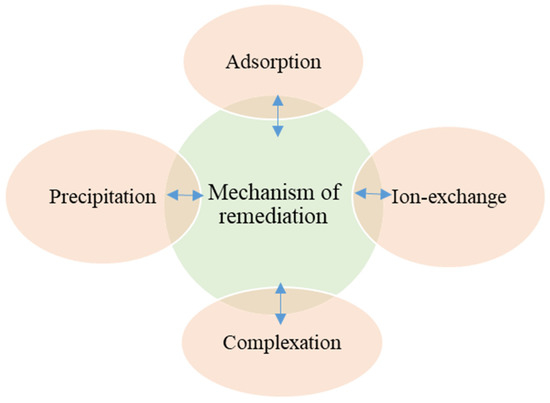 A Review on Remediation of Iron Ore Mine Tailings via Organic ...