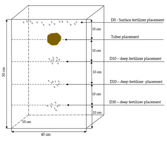 Effect of Deep Placement Fertilization on the Distribution of Biomass ...