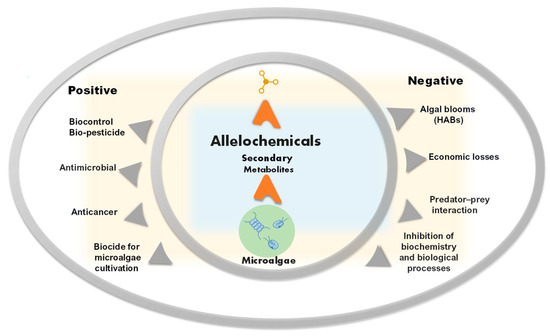 The Potential of Allelochemicals from Microalgae for Biopesticides