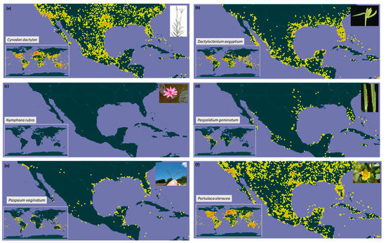 Alien and Potentially Invasive Plants in Four Lagoons on the Island of ...