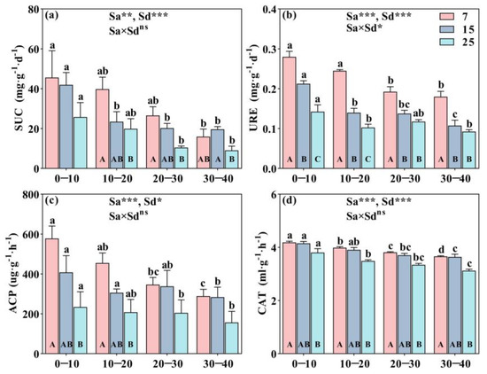 Soil Nutrients, Enzyme Activities, and Microbial Communities along a ...