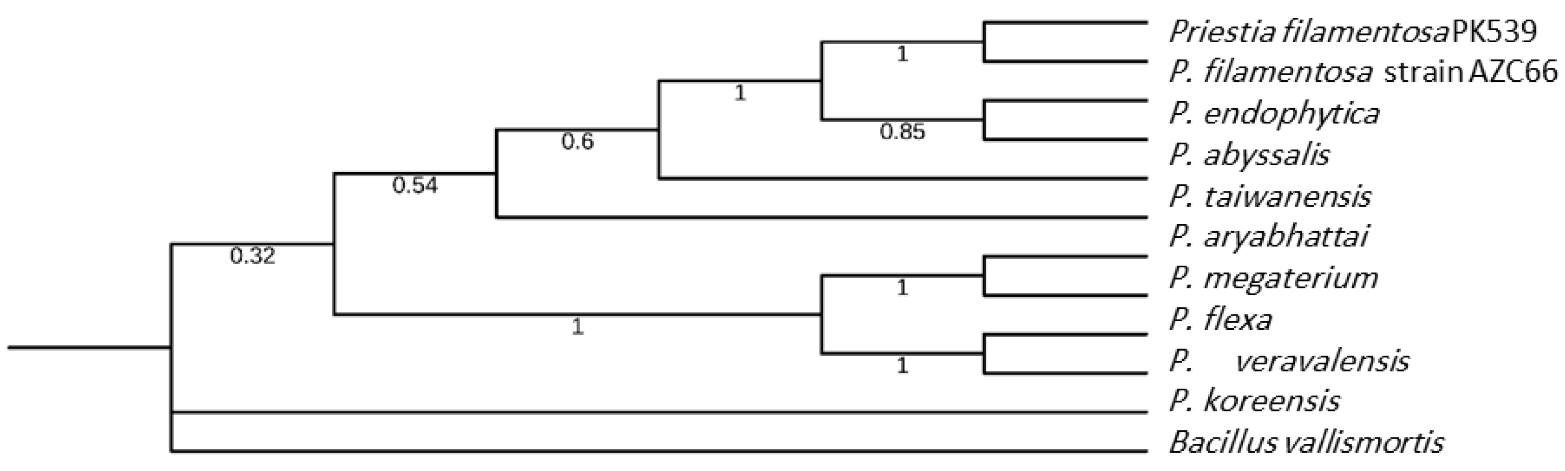 Plants | Free Full-Text | Whole-Genome Sequence Insight into the Plant-Growth-Promoting ...